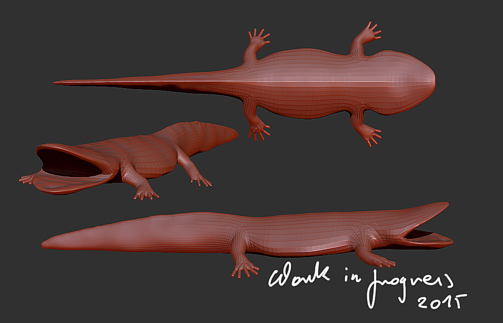Plagiosaurus from Lisowice