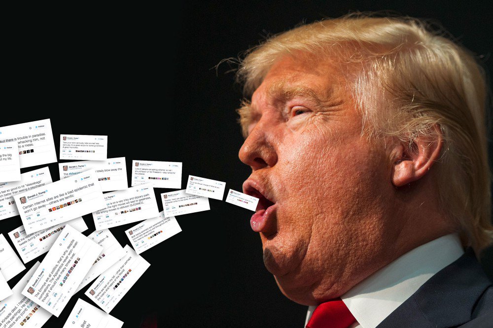 Trumpster Diver: NOT!: Sunday's pics of the state of politics