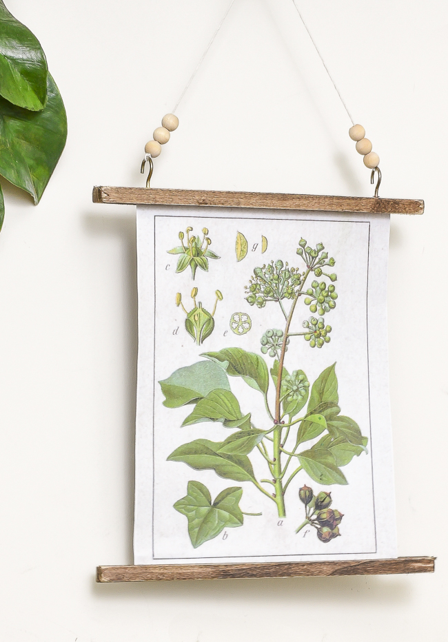 20 Free Botanical Prints and Easy DIY Wall Hanging | Little House of ...