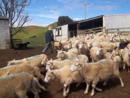 Burklee Farm: First day of docking