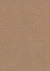 Texturise Free Seamless Textures With Maps: Seamless Cardboard Texture