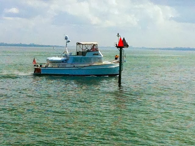 Once in a Blue Moon: Tuesday, February, 4: Bridge Jumper and "Sun Gypsy ...