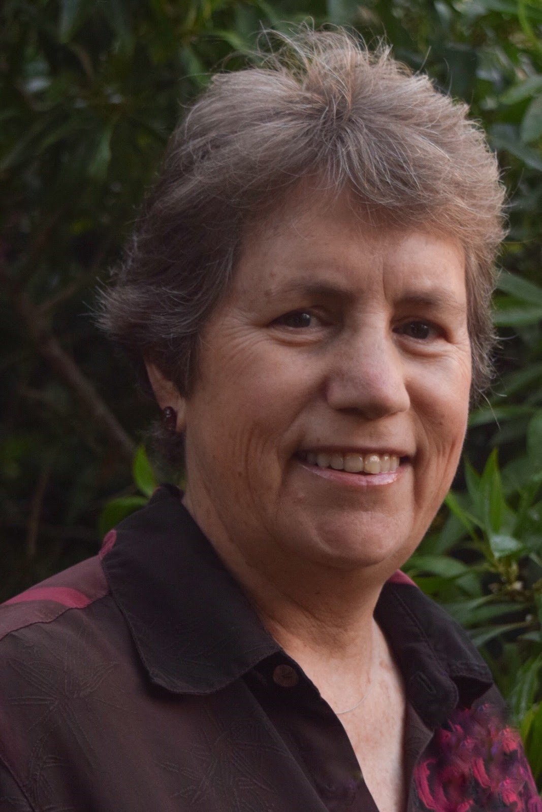 All Hawaii News: DLNR chief faces easy confirmation, Honolulu condo ...