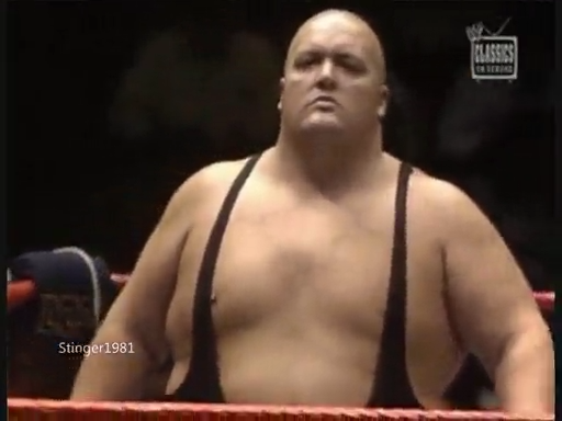 ProWresBlog: WWF - The Machines vs King Kong Bundy and Big John Studd