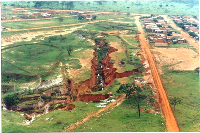 ECOLÓGICAS: Por que há necessidade de uma agricultura alternativa?