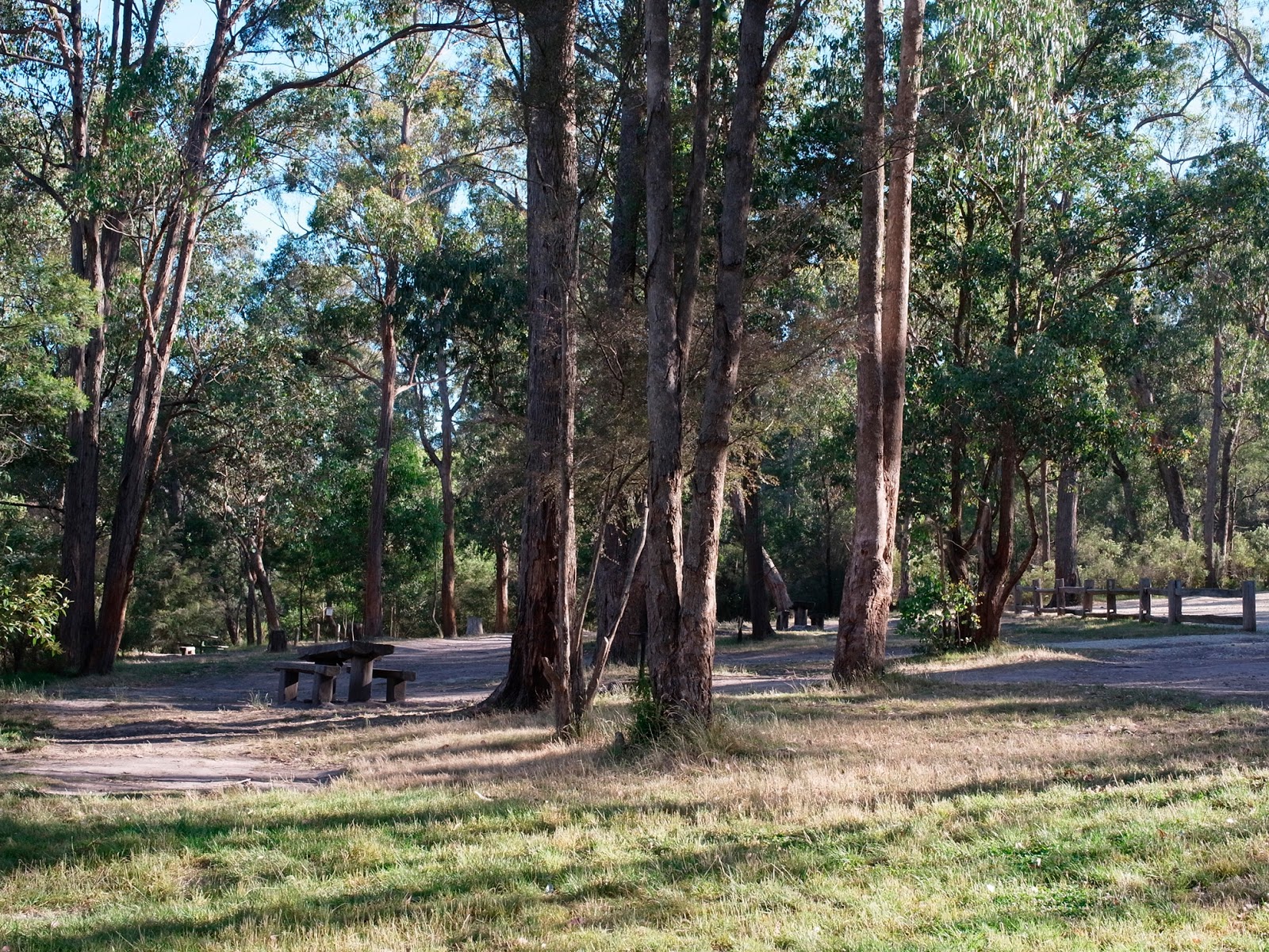 Walk Walk Walk: Blue Pool