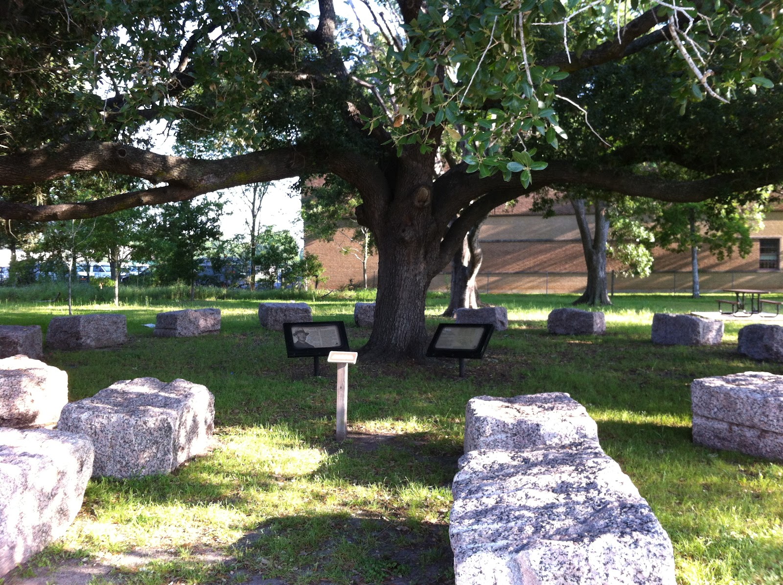 Houston Walks: Willow Waterhole Greenway Park