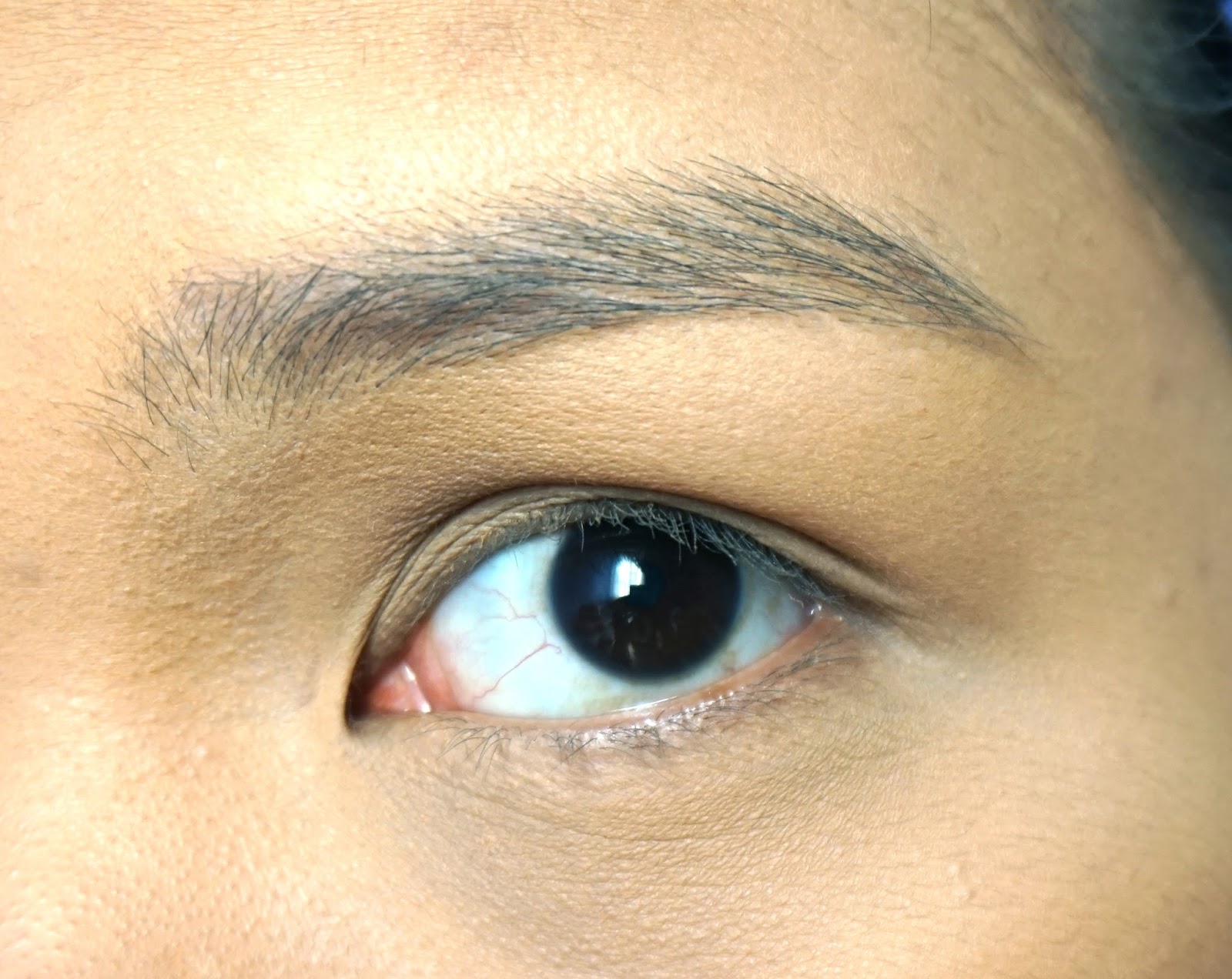 Heavy Rotation Powder Eyebrow and Nose Shadow in 02 Natural Brown ...