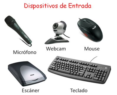 El Hardware y Software : hardware de entrada y salida