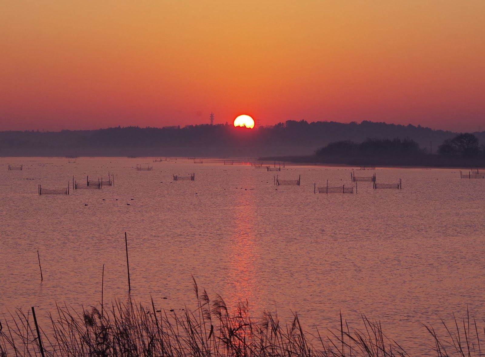 印旛沼周辺を撮っていくブログ Pictures around Inba-numa in Japan: 2014