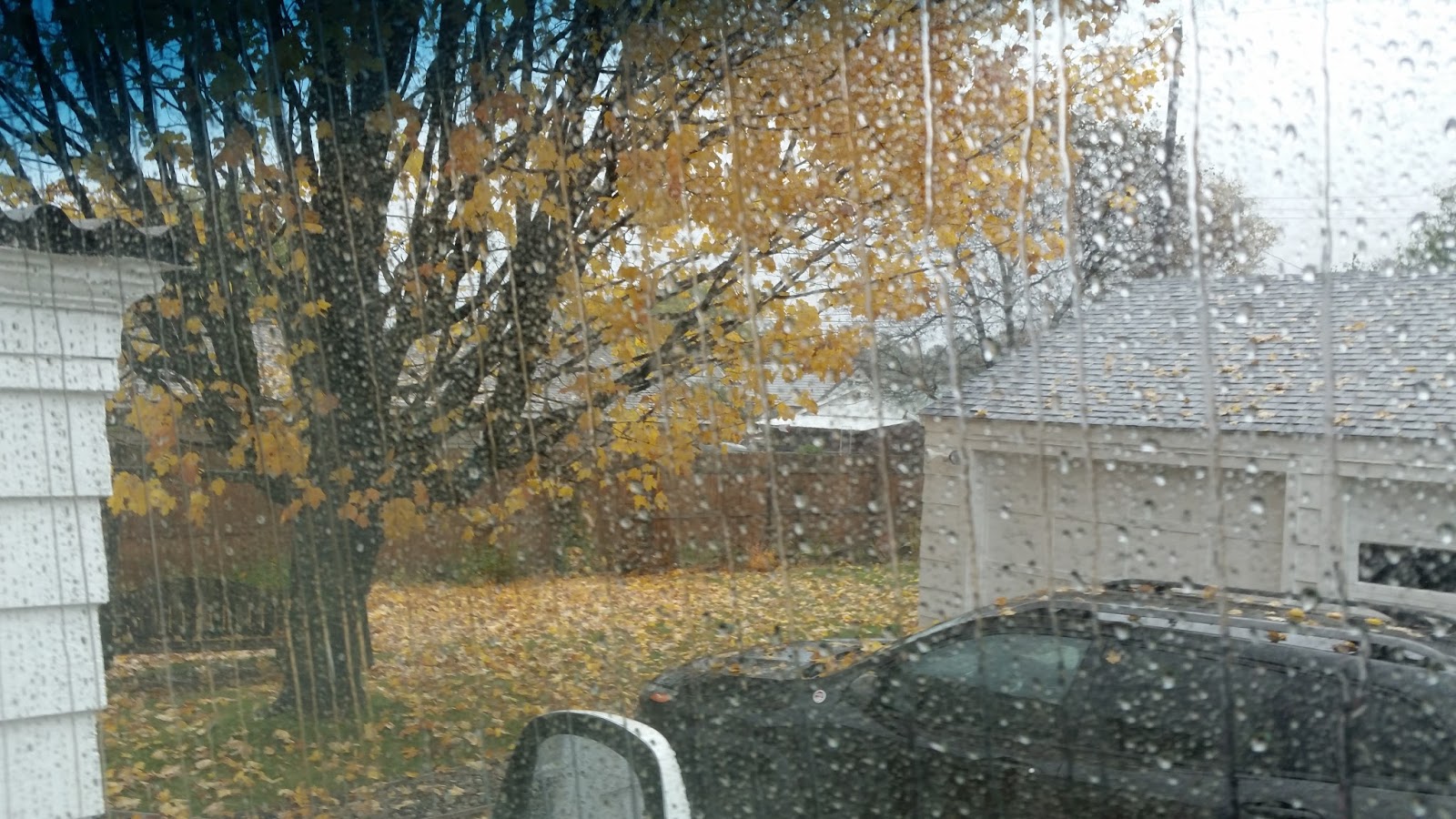 Celebrating the Dance : Dreary Fall Day and A Delay