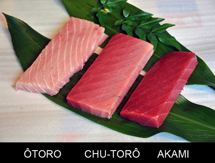 WASHOKU: Atum - 1º Parte