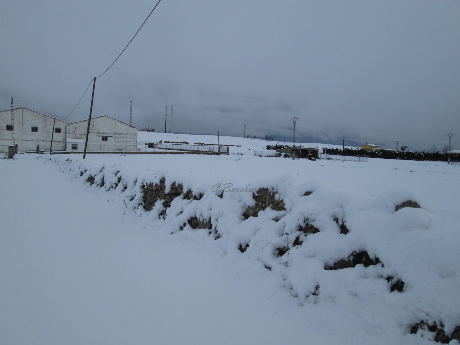 C.Borches Photography: Nevada Enero 2017 en Alborea (Albacete)