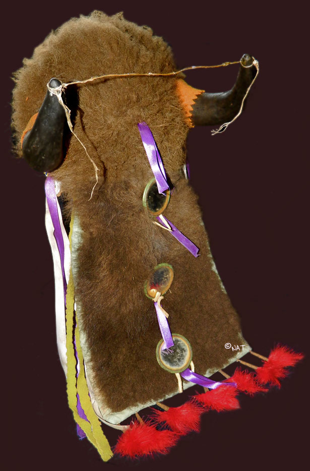 THE LEGACY OF THE NORTH AMERICAN INDIAN: NATIVE AMERICAN INDIAN ...