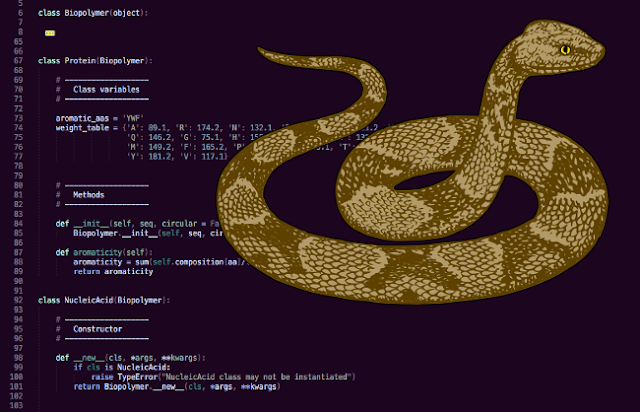 Emanuel Goette, alias Crespo: Programación Orientada a Objetos en Python
