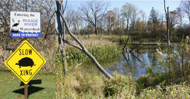 Michigan 1001 Daily Photo: Rouge Rouge Watershed