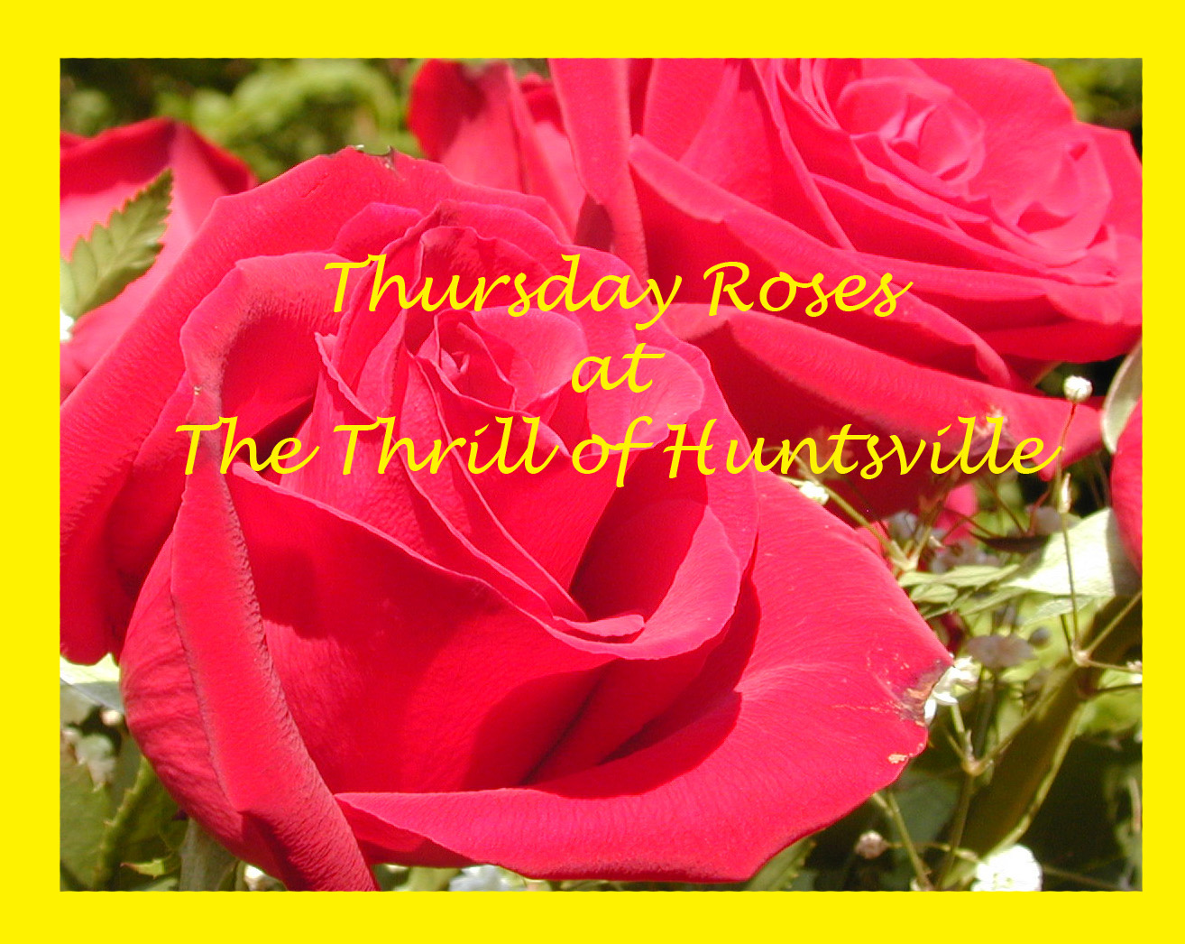 The Thrill of (Hunts)ville