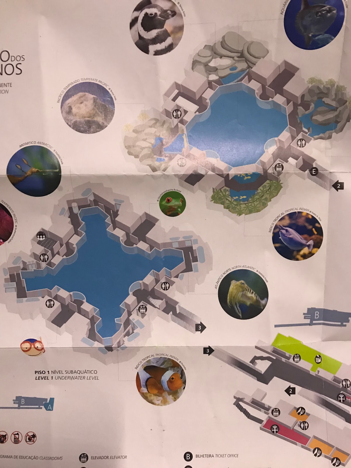 Plans Plans Plans: Lisbon, The Oceanarium.