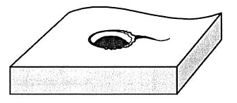 The Starship Engineer's Notebook: Introduction to Composite Materials