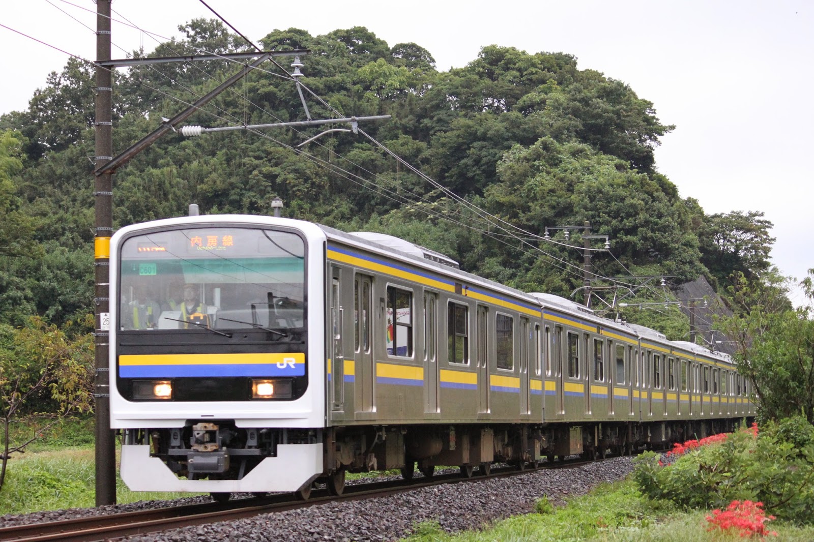ハマちどり写真帖: 2008／2010年のE655系お召列車