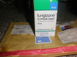 Aves do Costa Açores: FUNGIZONE