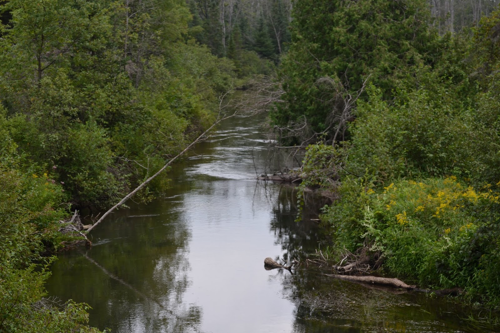 Barbie Goes Camping: Rifle River Recreation Area