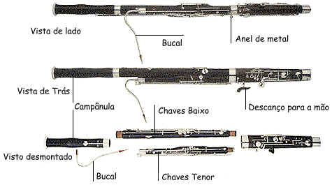Inspiration ♥: Constituição do Fagote