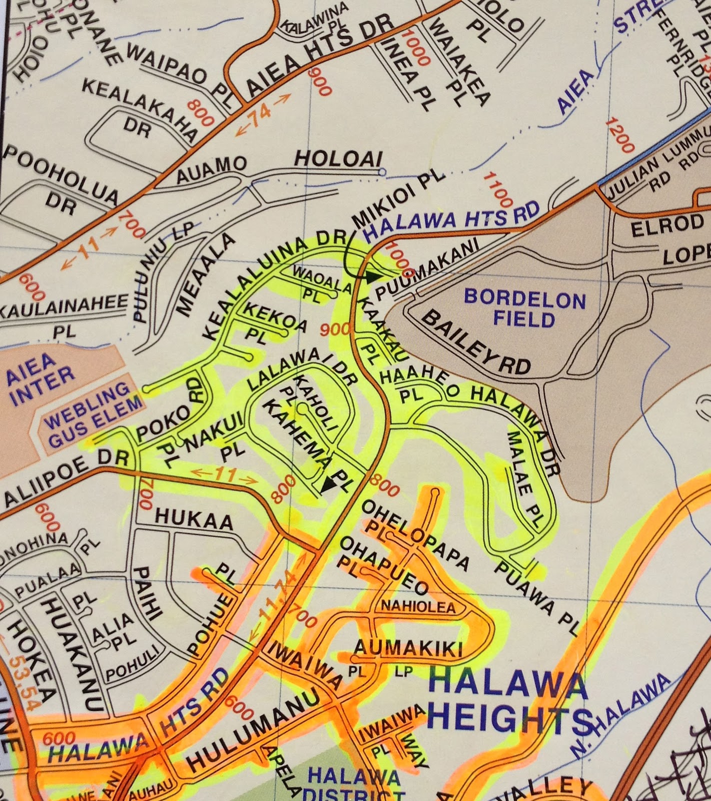 The Walking Hawaiian