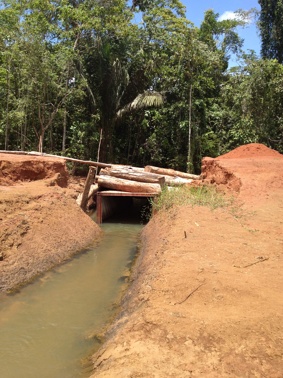 Fotos de la vergonzosa trocha, en zona norte, Costa Rica.