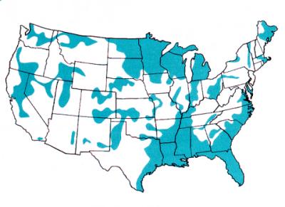Civil Engineering Now: The Consequences of Wetland Drainage