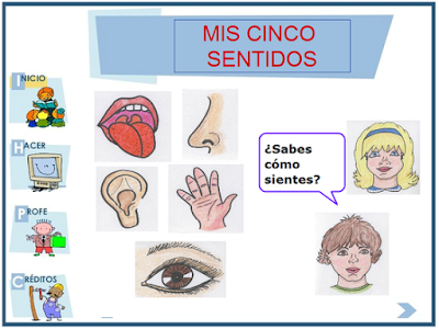 EL CUERPO HUMANO: Los cinco sentidos