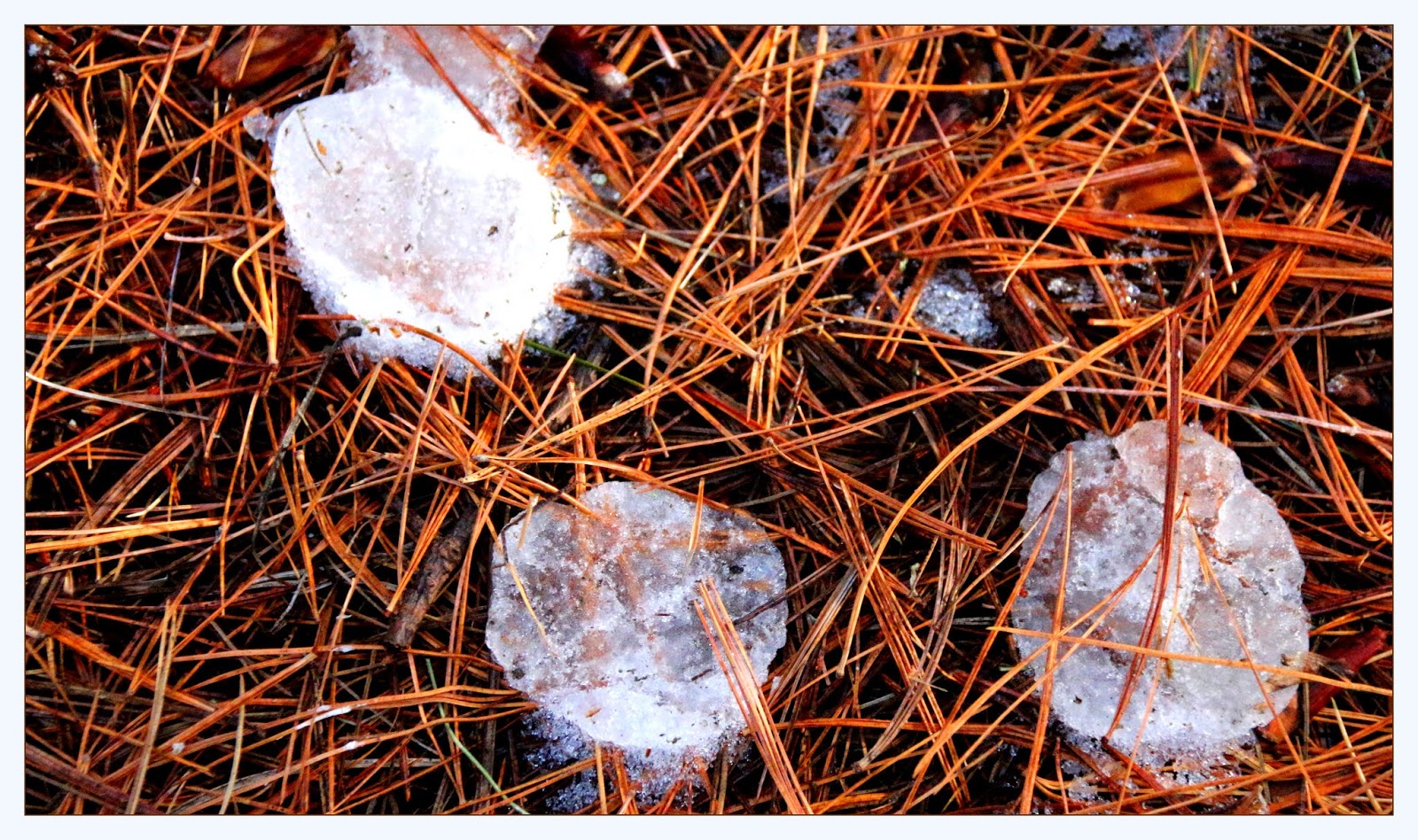 Slight Detour: Epiphanous Tracking Adventure,