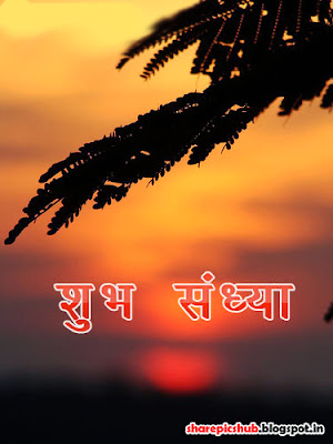 Shubh Sandhya Wishes Greetings in Hindi | Share Pics Hub