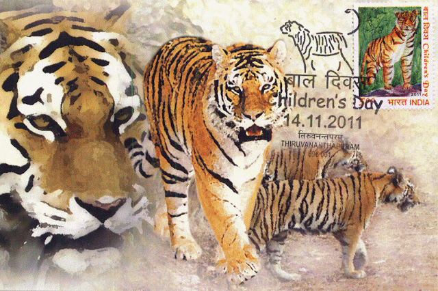 PHILA LOVER: Tiger Maxim Cards