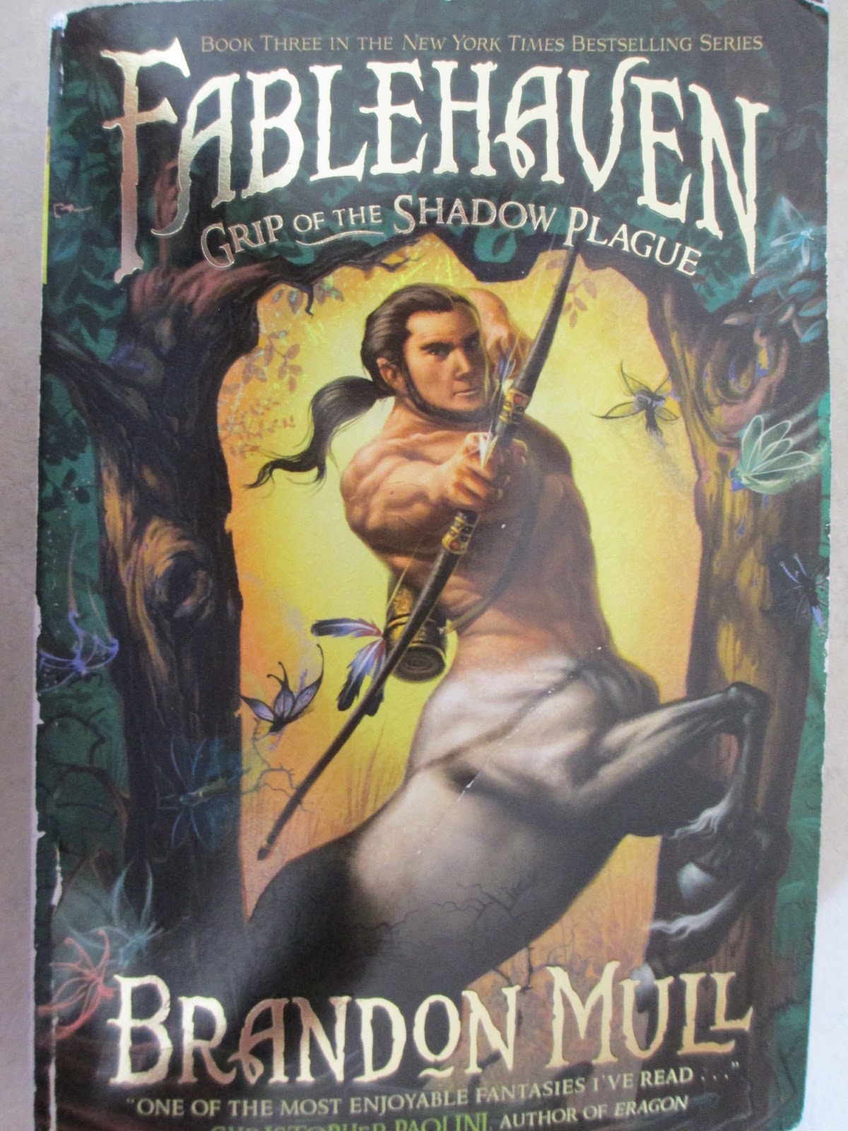 Flying Pandas Book Reviews