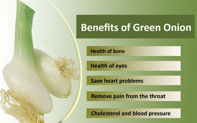 Benefits of Green Onion and its Diverse Uses | Arbkan