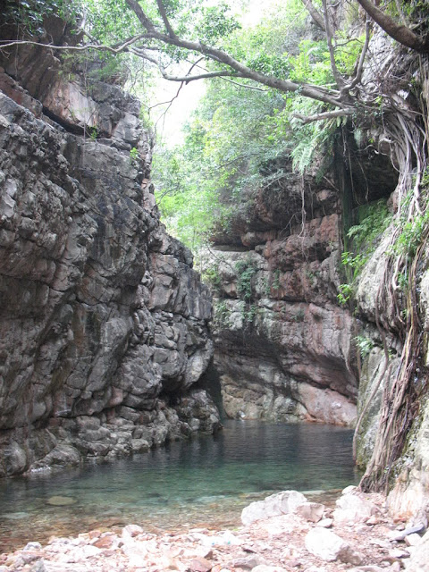 Tamilnadu Tourism: Ubbalamadugu Falls (Tada Falls)