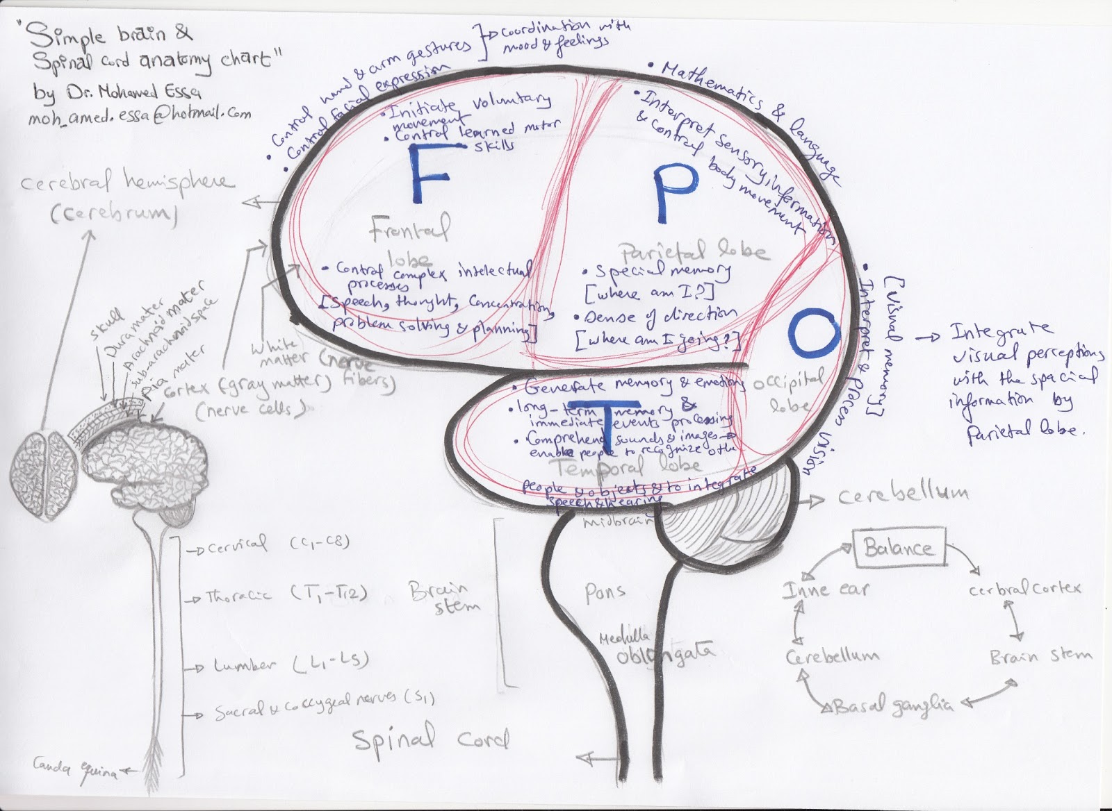 ScienceNectar : Simple charts and diagrams