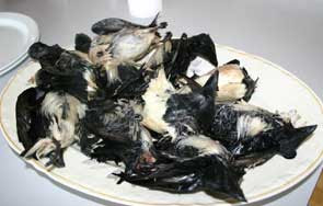 Kiviak, The Most Disgusting Meat Dish ( 3 Pics & 1 Vidz) ~ Daily Pics ...