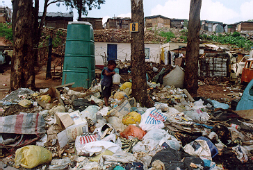 POLLUTION: LAND POLLUTION