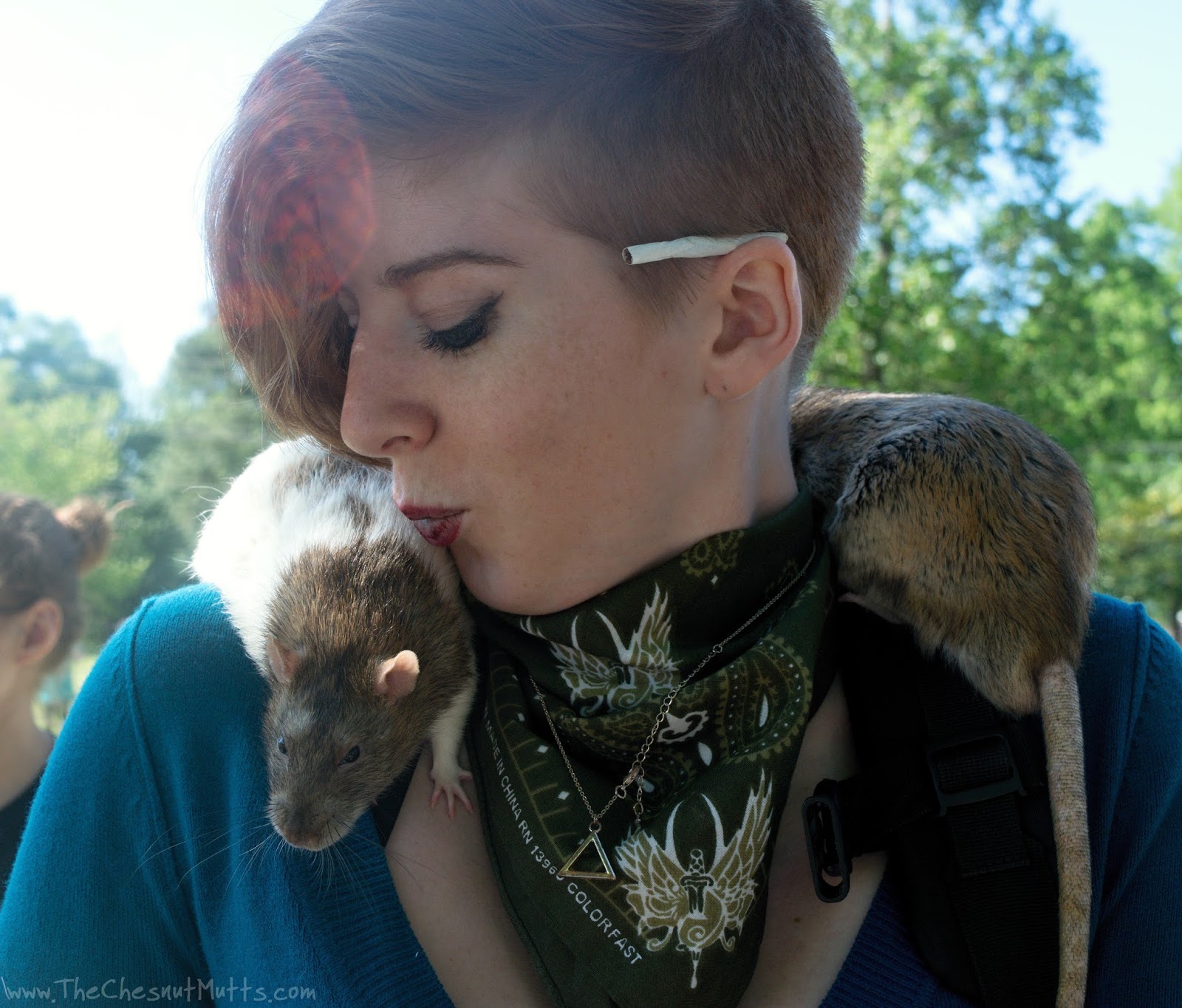 Healing Whiskers: Why Therapy Rats?