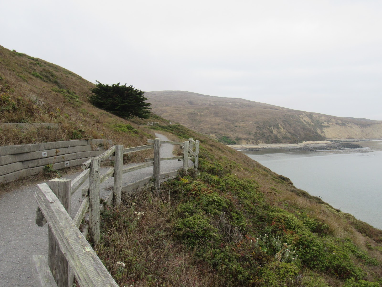 Wings and Daydreams: Elephant Seal Overlook - Part 1