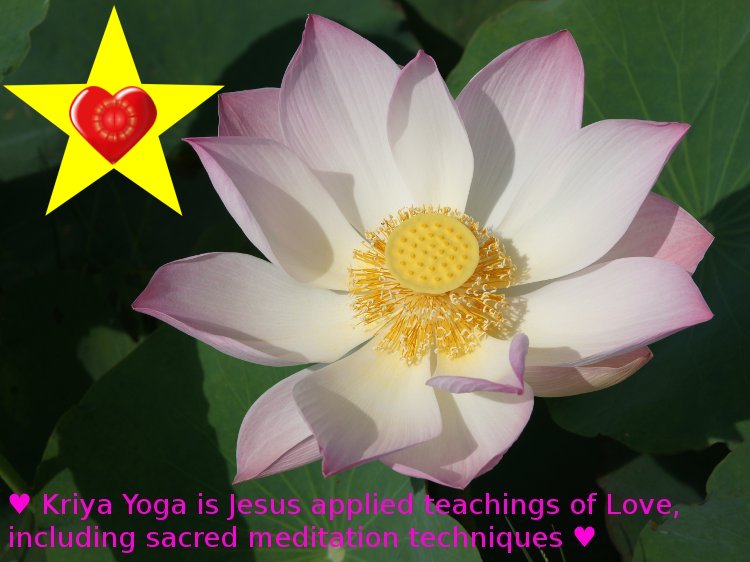 Jesus Kriya Yoga, God and Love: Merry Christmas Message - Love and ...