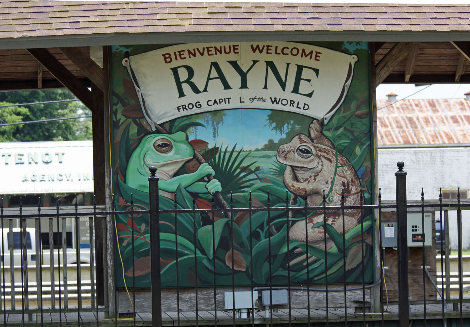 Southern Lagniappe: Rayne, Louisiana: The Frog Capital of the World