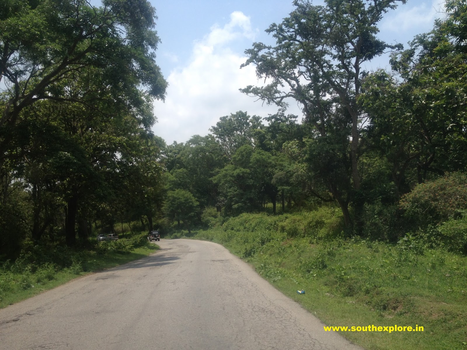 MUDUMALAI WILDLIFE SANCTUARY NILGIRI | MUDUMALAI NATIONAL PARK | TIGER ...
