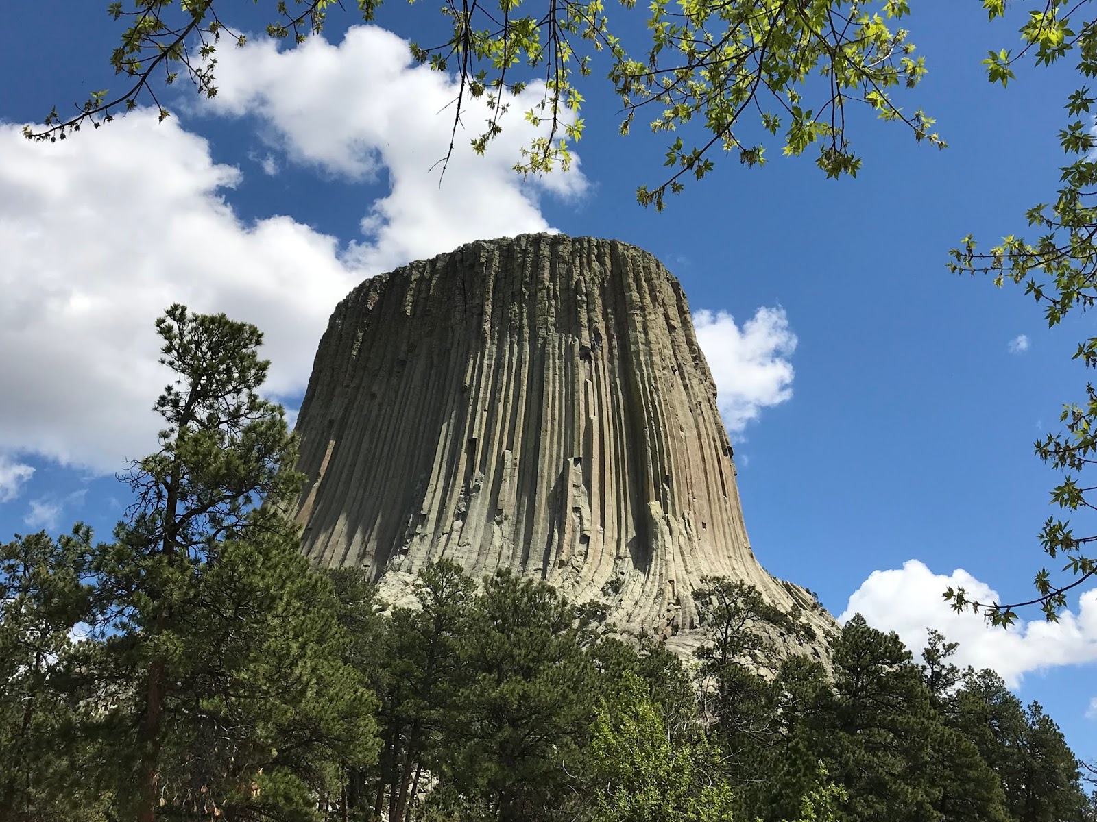 Devils Tower View From Top