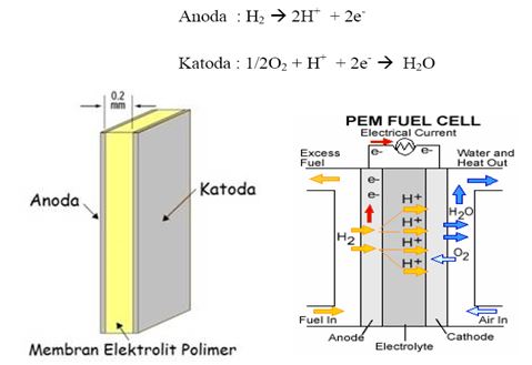 TEKNOLOGI FUEL CELL : Polymer Electrolyte Membrane (PEMFC) | CANGKANG SAINS