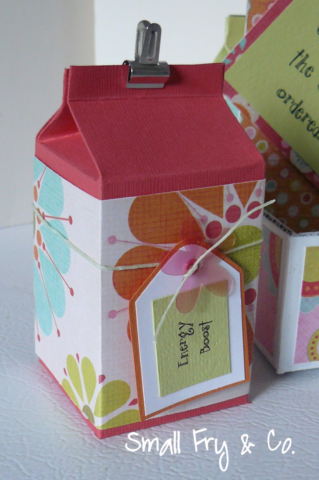 Small Fry & Co. : Get Well Week Day 3- Paper Milk Carton Caddy