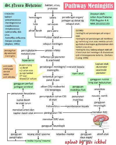 Pathway Meningitis