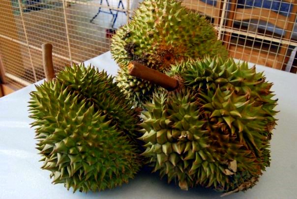Filipino Way: Durian